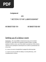 Labour Room Space and Layout Guidelines | PDF | Caesarean Section ...