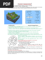 Paths To Modernization - Class 11th Notes | PDF