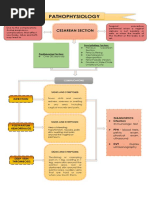 Pathophysiology: Cesarean Section | PDF | Childbirth | Caesarean Section