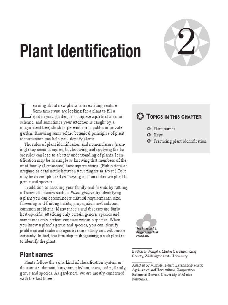 20 2 Plant Identification | PDF | Cultivar | Genus