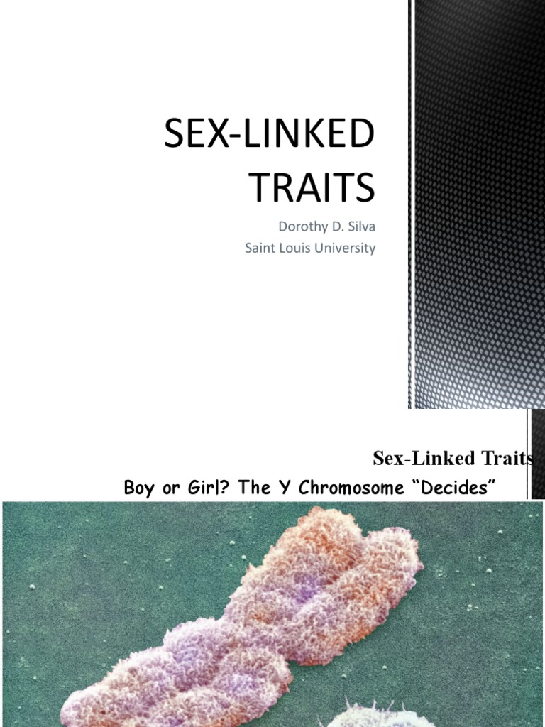 3 Sex-Linked Traits | PDF | Sex | Biology