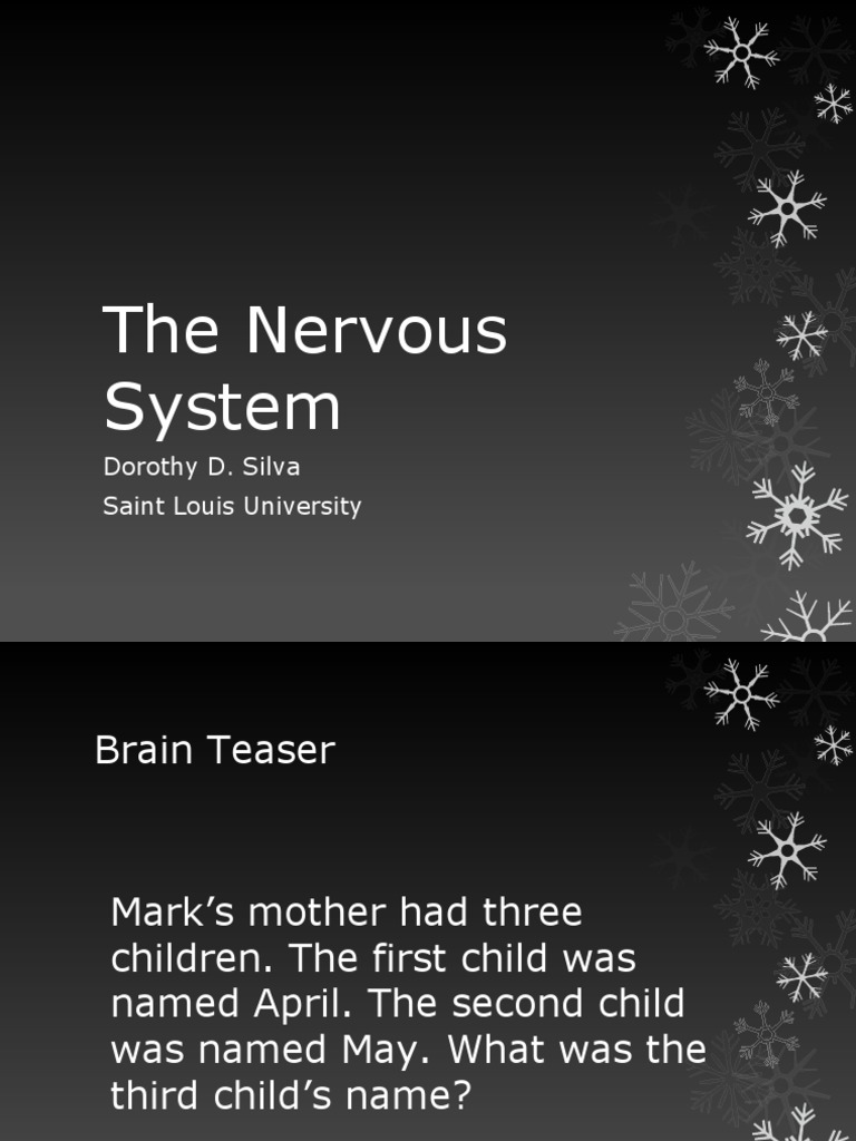 The Nervous System: Dorothy D. Silva Saint Louis University | PDF ...
