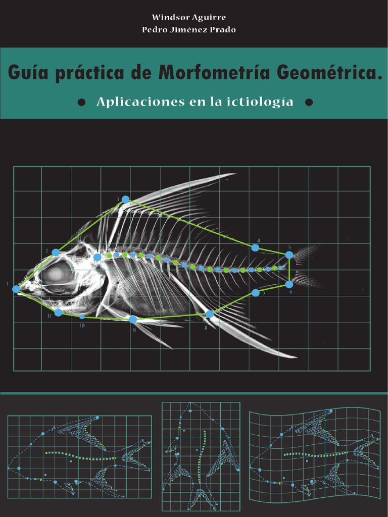 Morfometria Geométrica | PDF | Morfometría | Estadísticas