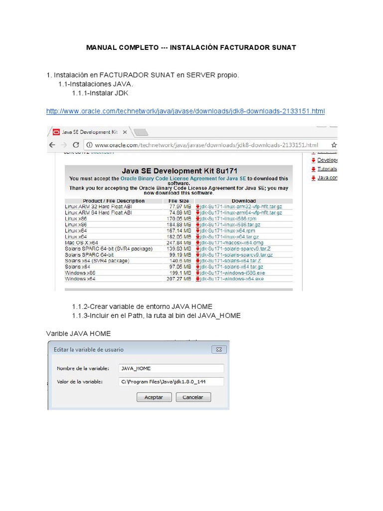 Manual Completo Instalación Sunat Listo para Usar | PDF
