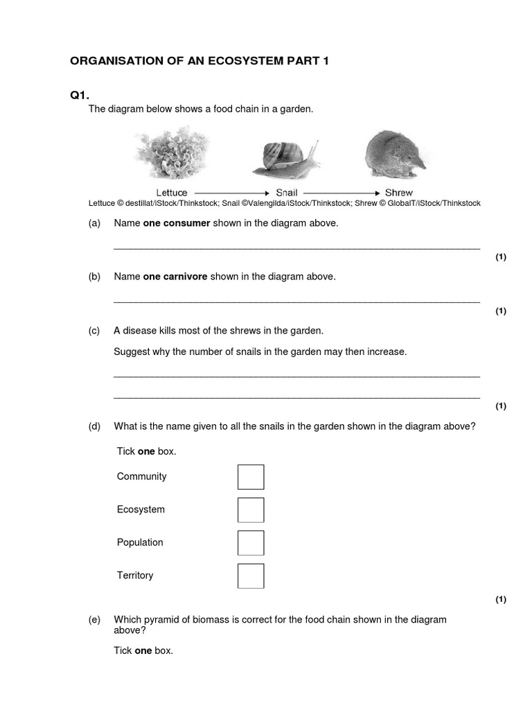 Organisation of An Ecosystem Part I Questions | PDF | Compost | Mosquito