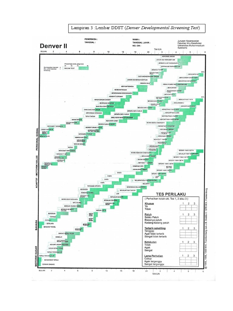 Lampiran 3:lembar DDST (Denver Developmental Screening Test) | PDF