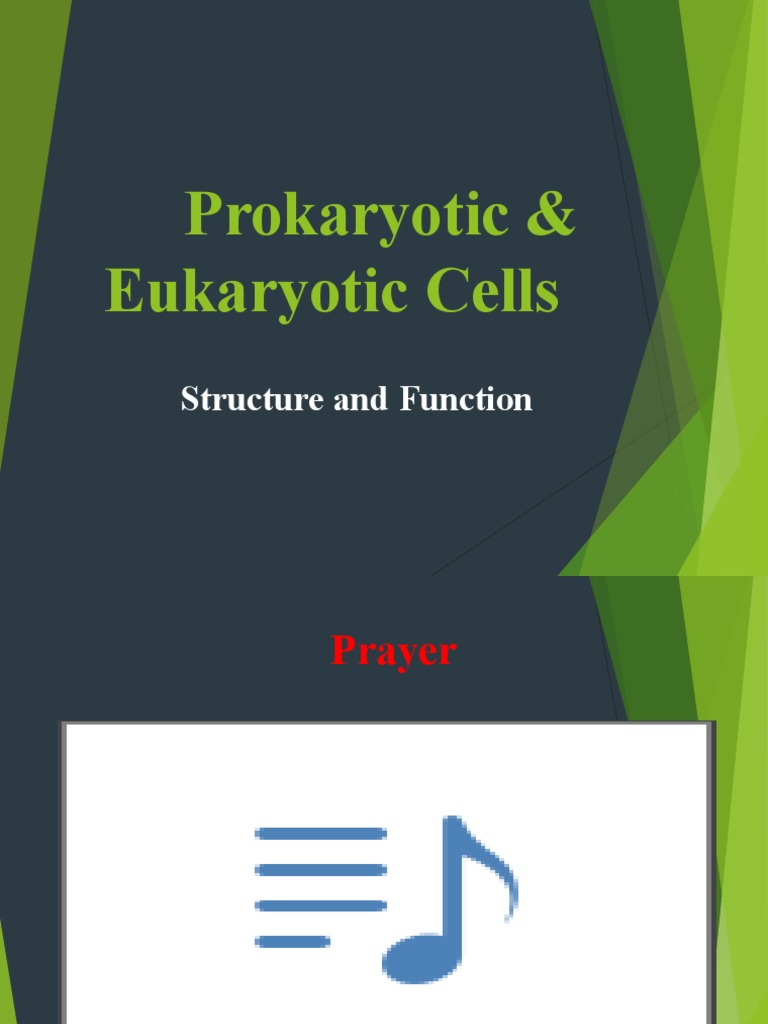 Prok A Ryo Tic Eukaryotic Cells | PDF | Cell (Biology) | Eukaryotes
