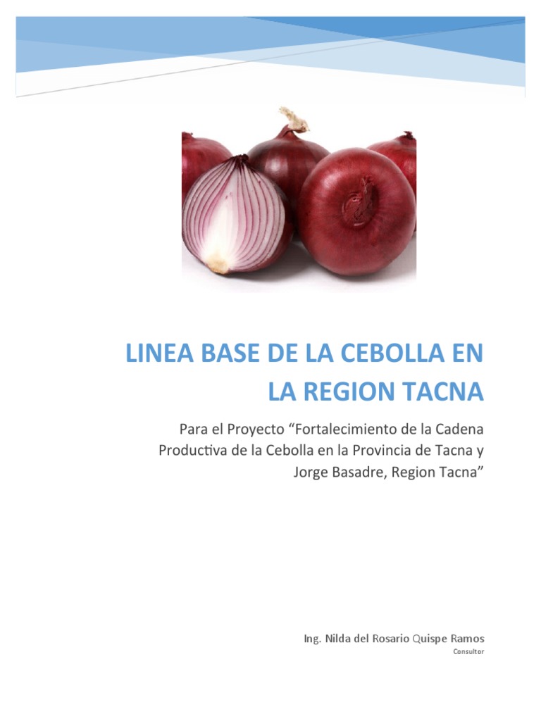 Línea Base de la Cebolla en Tacna | PDF | Fertilizante | Tallo de la planta