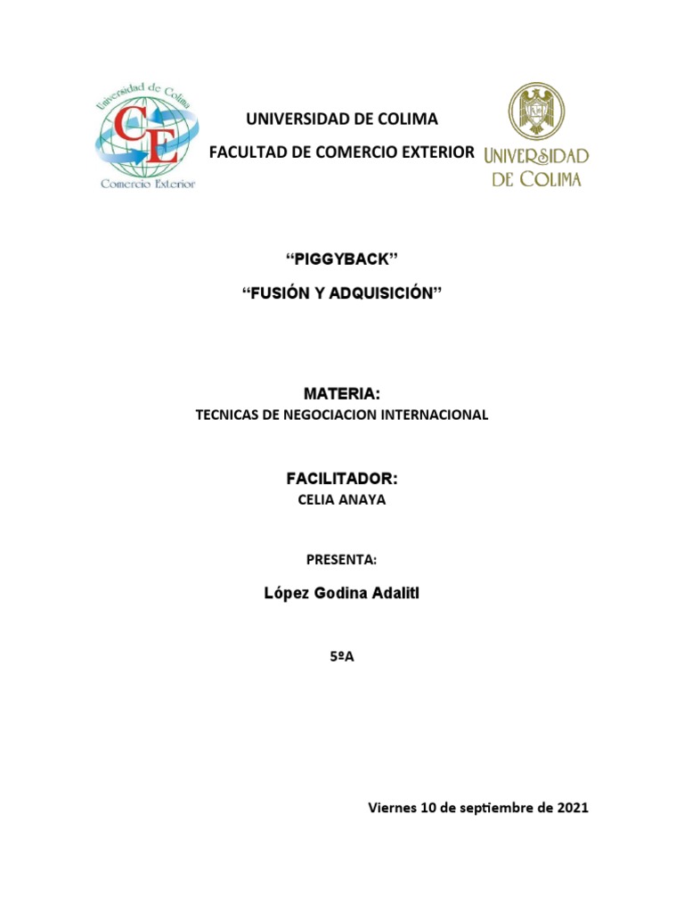 Modelo Piggyback en Exportaciones | PDF | Exportaciones | Business