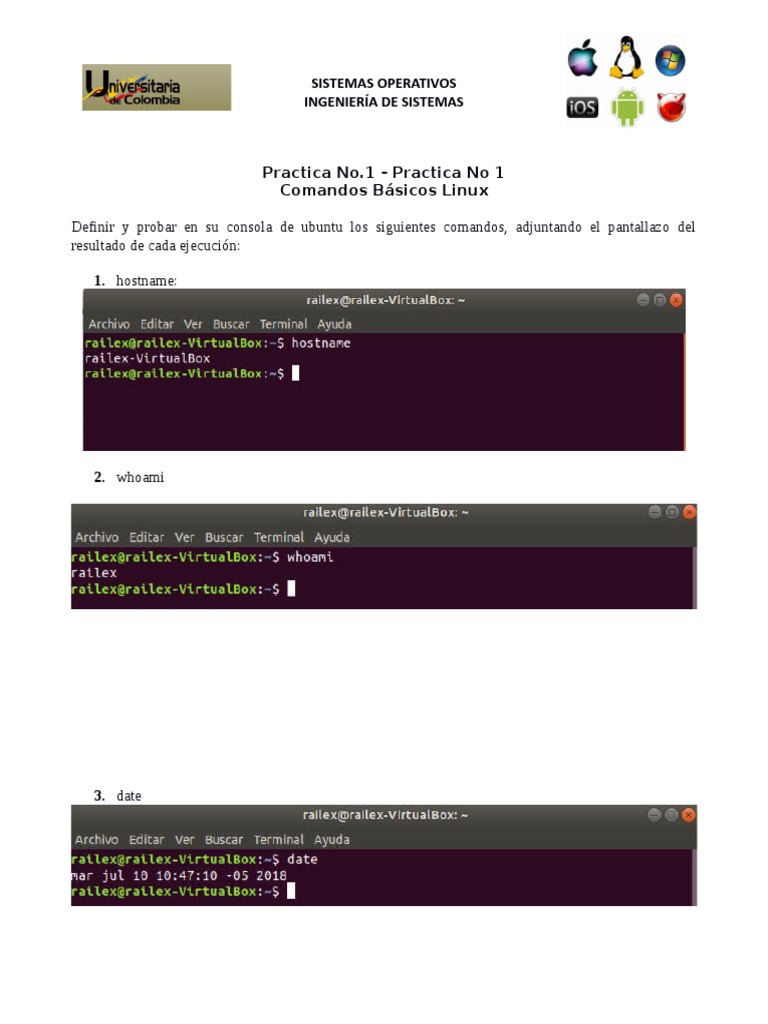 Practica No 1 - Comandos Básicos Linux | PDF