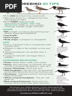 Colour Prediction | PDF