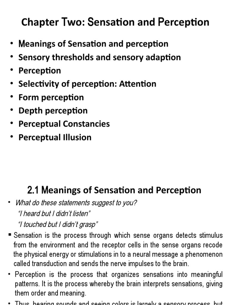 Chapter Two: Sensation and Perception | PDF | Perception | Senses