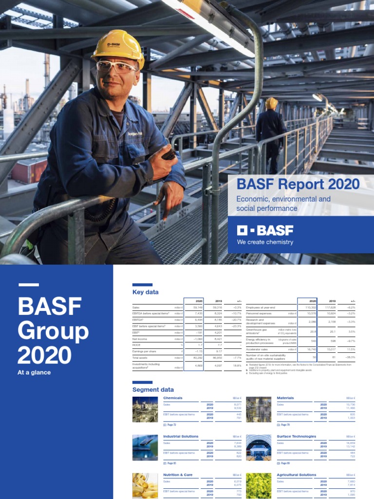 BASF Report 2020 | PDF | Sustainability | Supply Chain