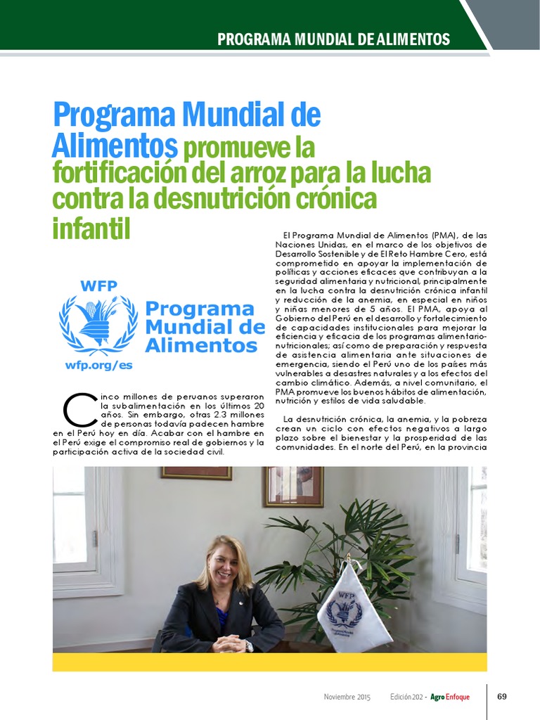 Programa Mundial De Alimentos Promueve La Fortificació Pdf Programa