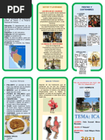 Historial y Significado Del Escudo de Ica | PDF | Los símbolos | Naturaleza