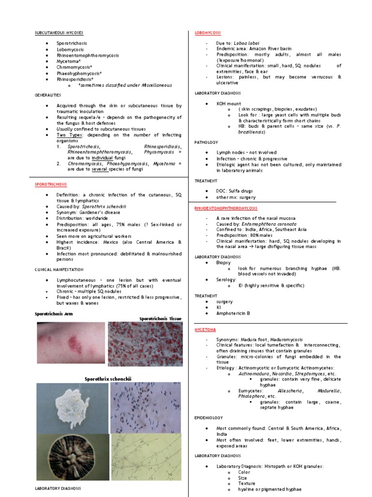 Subcutaneous | PDF | Medical Specialties | Clinical Medicine