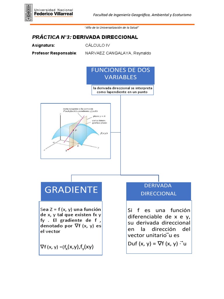 PRACTICA 3 - Calculo Derivada Direccional | PDF | Derivado | Degradado
