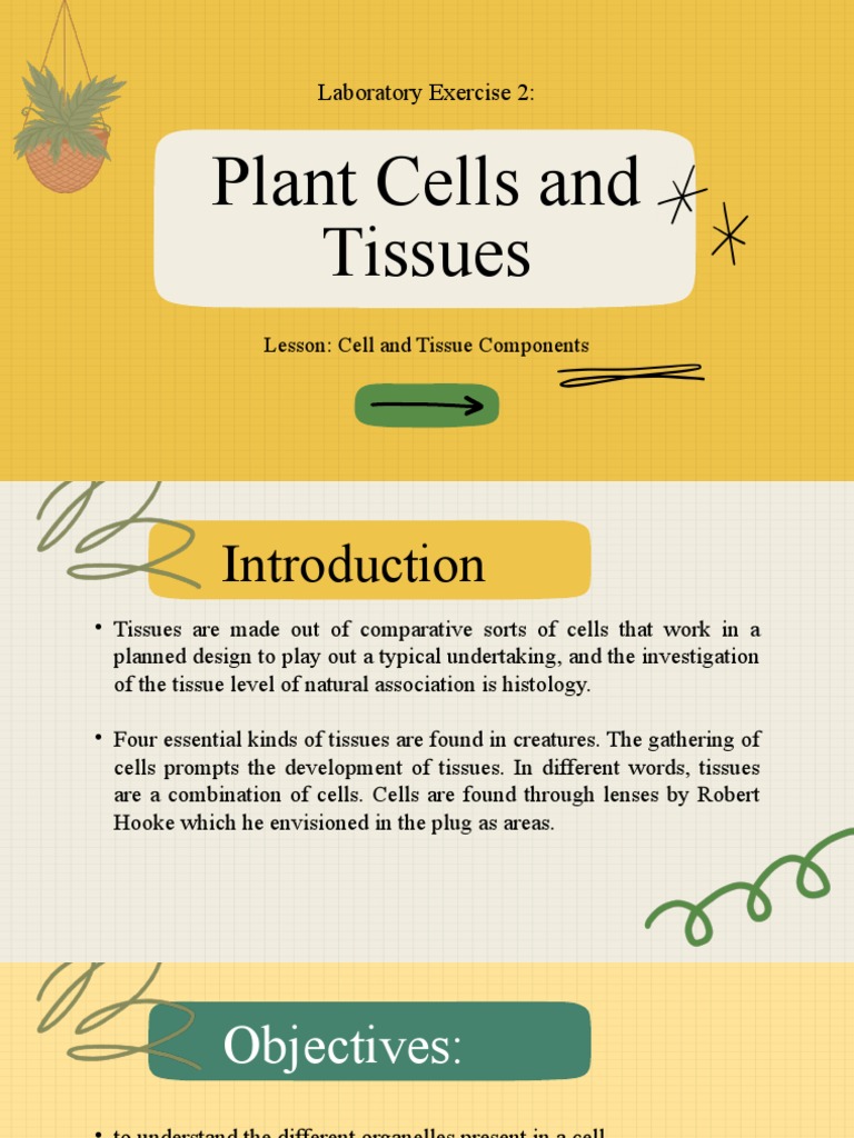Yellow Green Blue and Red Handwritten Zones of Regulation SEL Social ...
