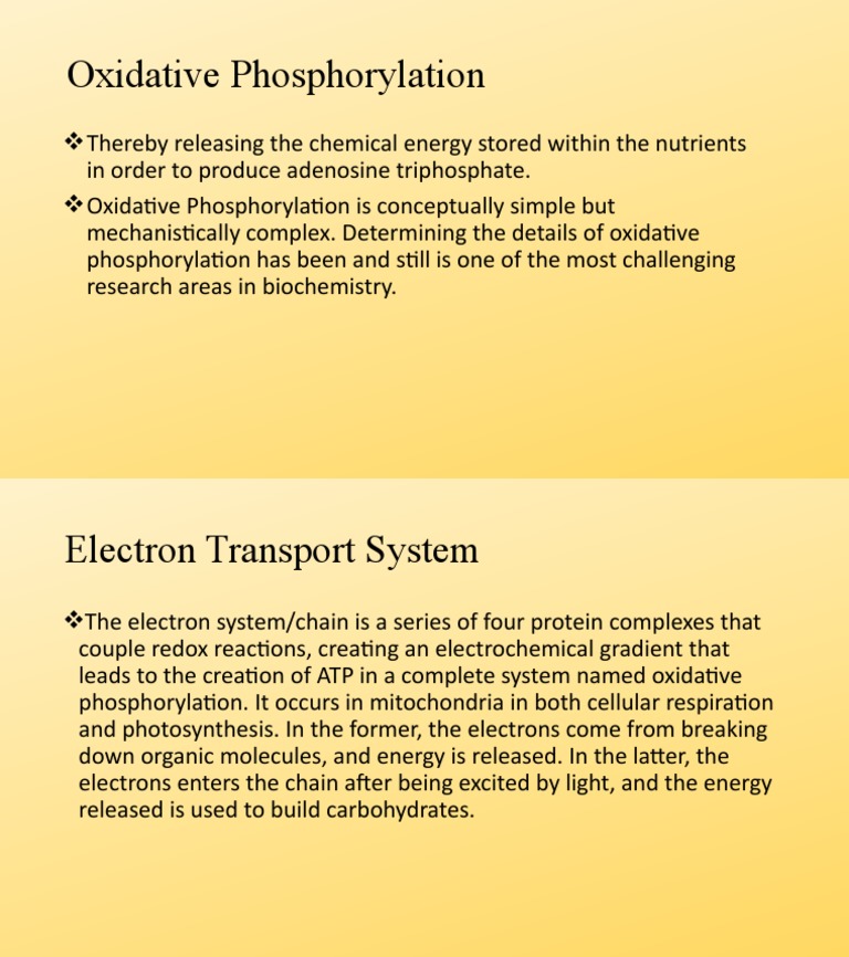 Oxidative Phosphorylation | PDF