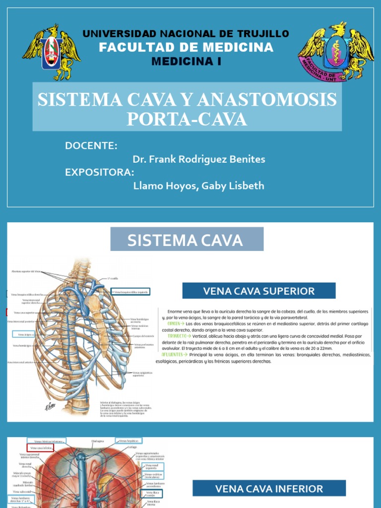 Sistema Cava y Anastomosis Porta-Cava | PDF