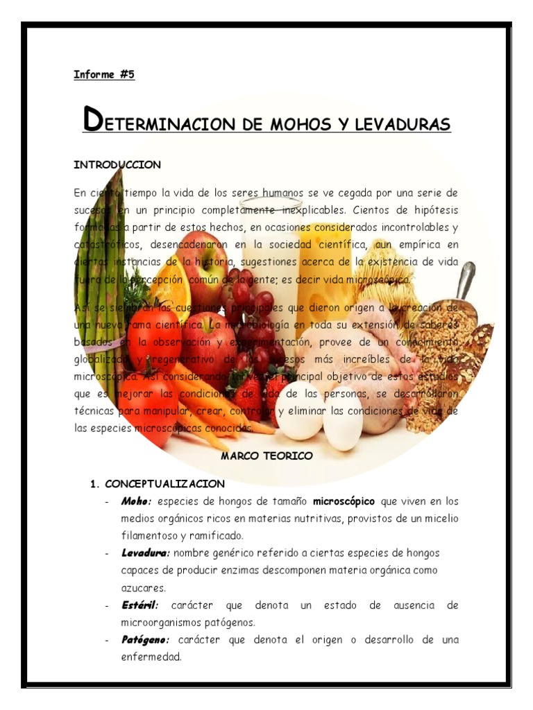 Determinacion de Mohos y Levaduras | PDF | Unidad de formación de Colonia | Hongo