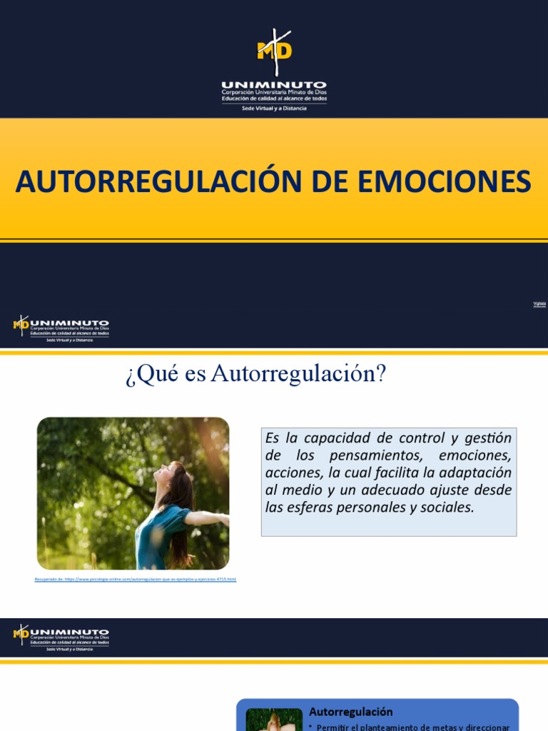 Autorregulación de Emociones | PDF | Las emociones | Ira