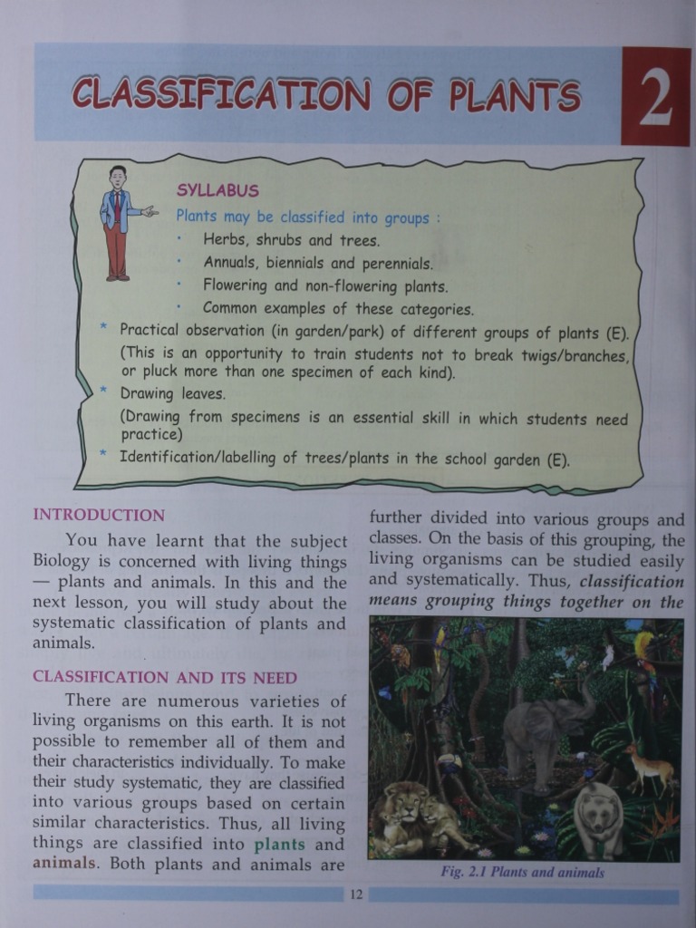Chapter-02 Classification of Plants | PDF