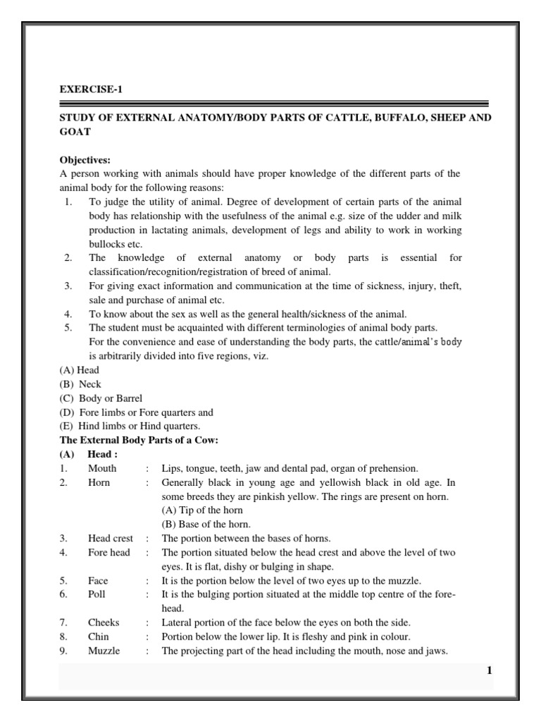 Exercise-1 Study of External Anatomy/Body Parts of Cattle, Buffalo ...