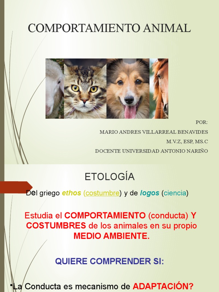 Comportamiento Animal | PDF | Comportamiento | Etología