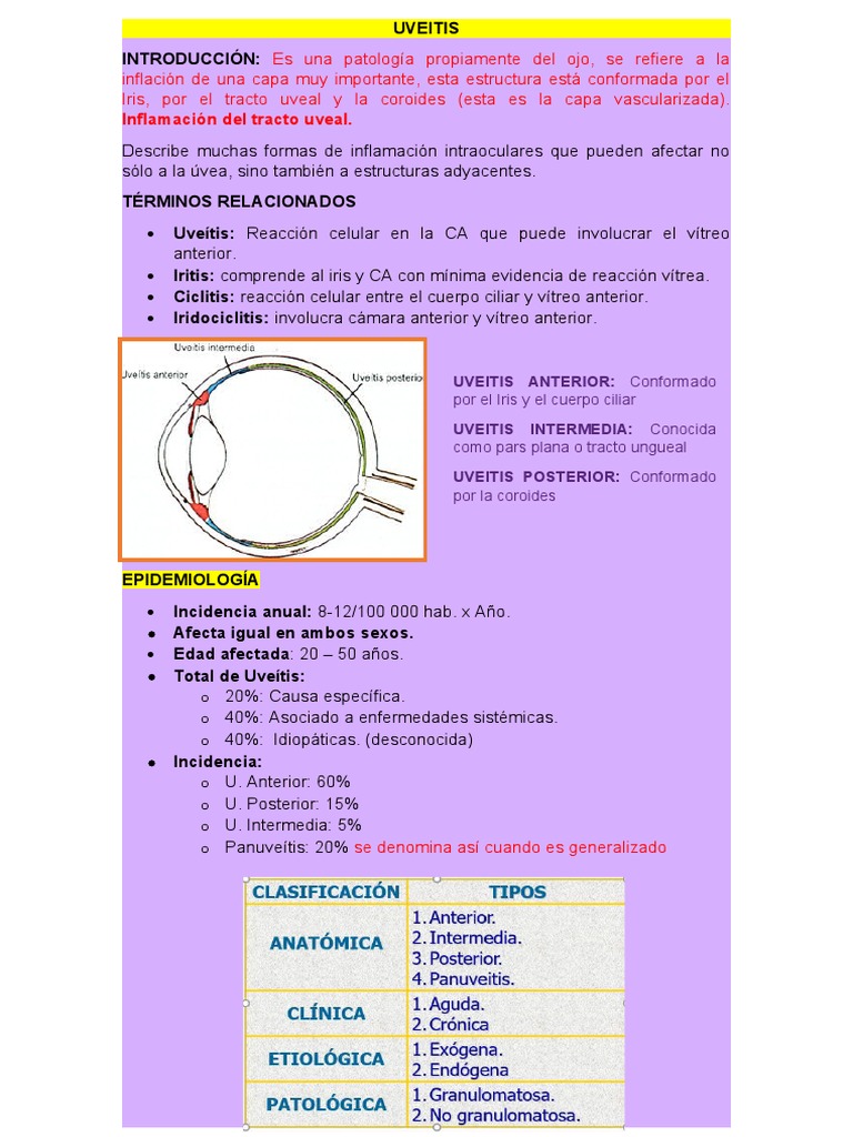 Uveítis: Tipos, Síntomas y Tratamiento | PDF | Inflamación | Ojo humano