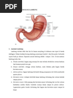 Rumus IHD dalam Farmakoterapi | PDF