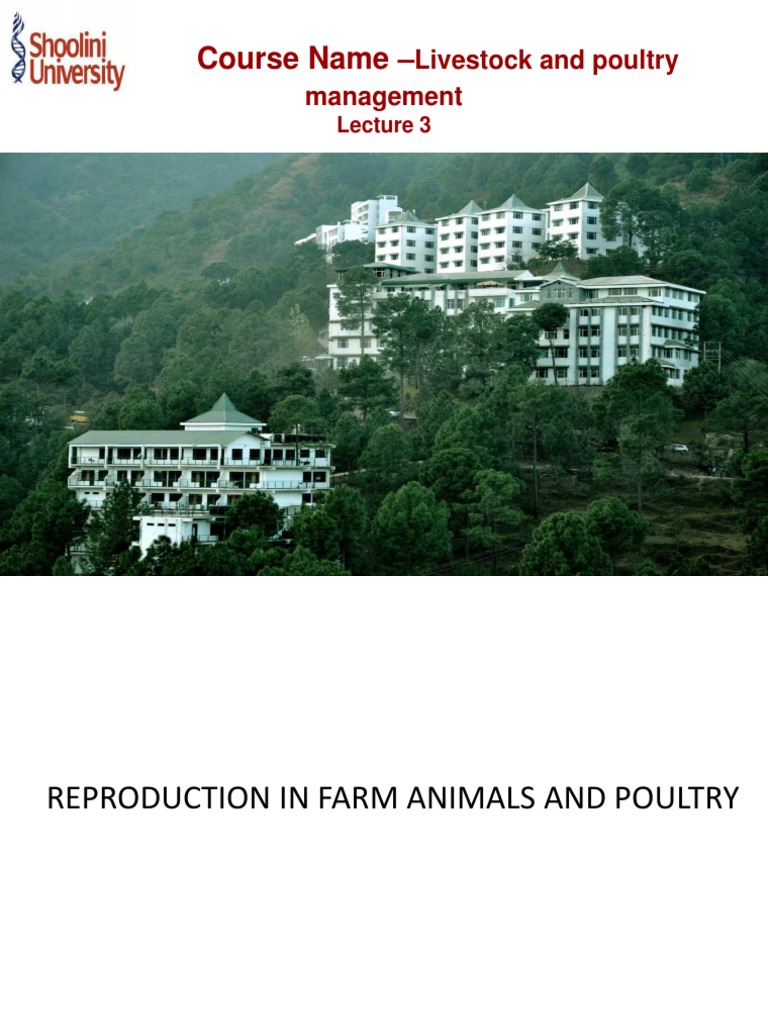 3.) Livestock and Poultry Management | PDF | Prostate | Testicle