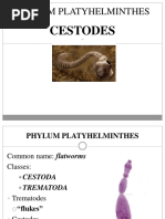 Cestodes (Table) | PDF | Medical Specialties | Diseases And Disorders
