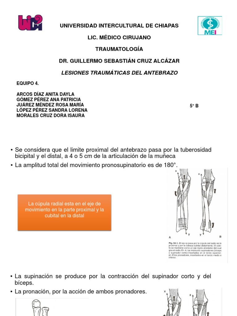 Lesiones traumáticas del antebrazo: fracturas, luxaciones y ...