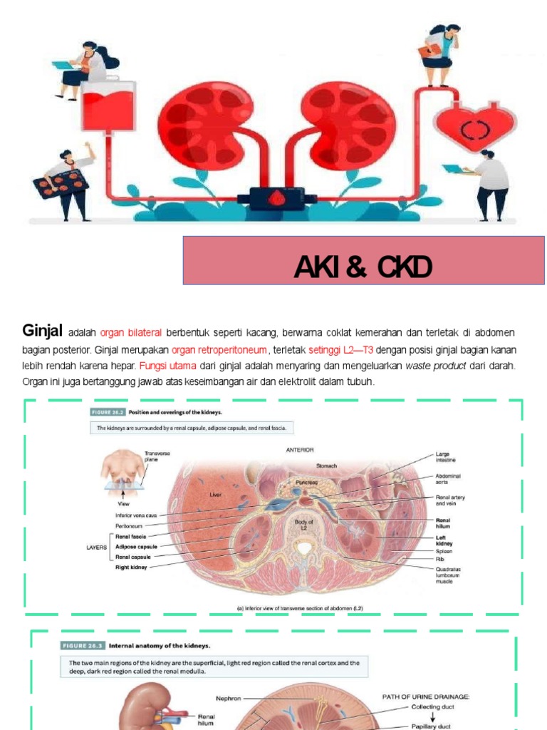 Perbandingan AKI dan CKD pada Ginjal | PDF | Sains & Matematika