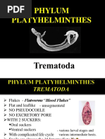 Paramphistomes | PDF