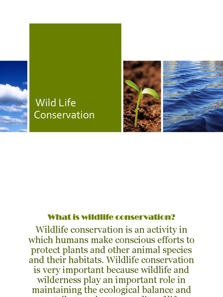 Wild Life Conservation | PDF | Wildlife | Endangered Species Act Of 1973