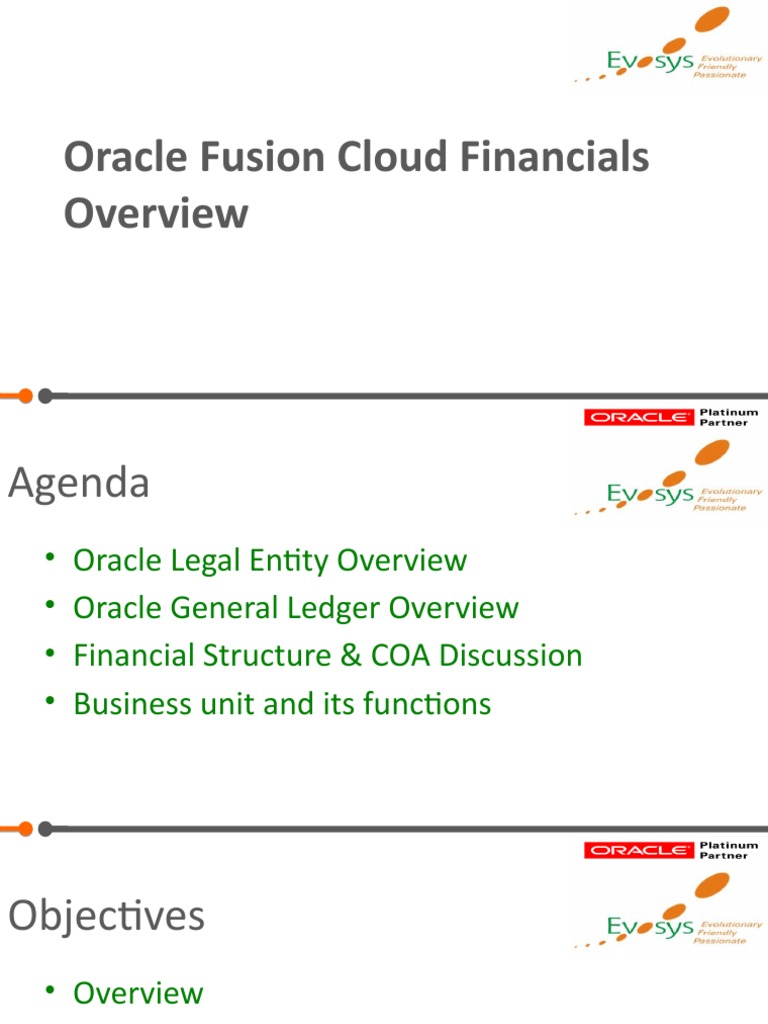 Fusion Enterprise Structure Overview | Download Free PDF | Business ...