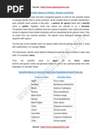 Lucents Objective General Knowledge PDF Download | PDF | Social Science