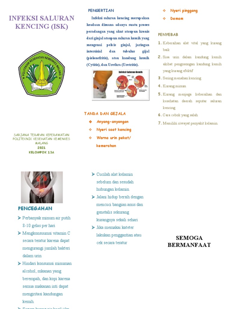 Pencegahan dan Penanganan Infeksi Saluran Kencing | PDF