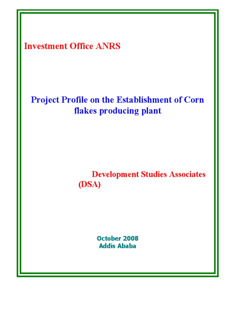 Corn Flakes Production Plant Profile | PDF | Net Present Value | Expense