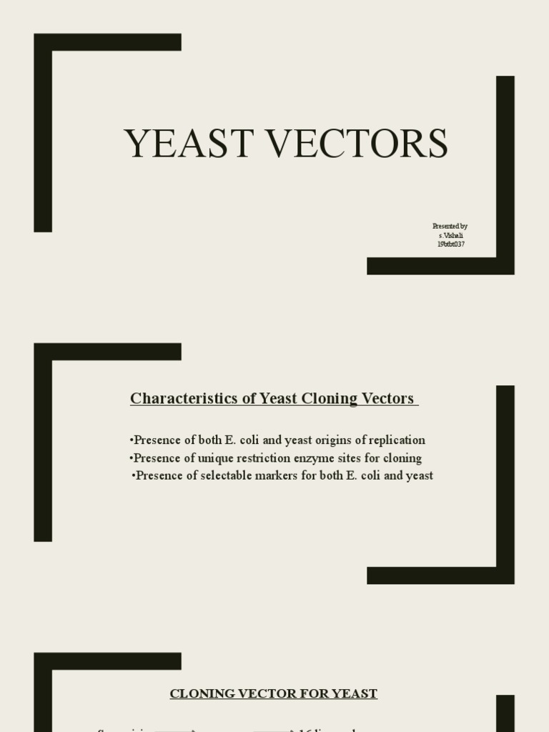 Yeast Vectors Presented By S Vishali 19btbt037 Pdf Plasmid Molecular Cloning