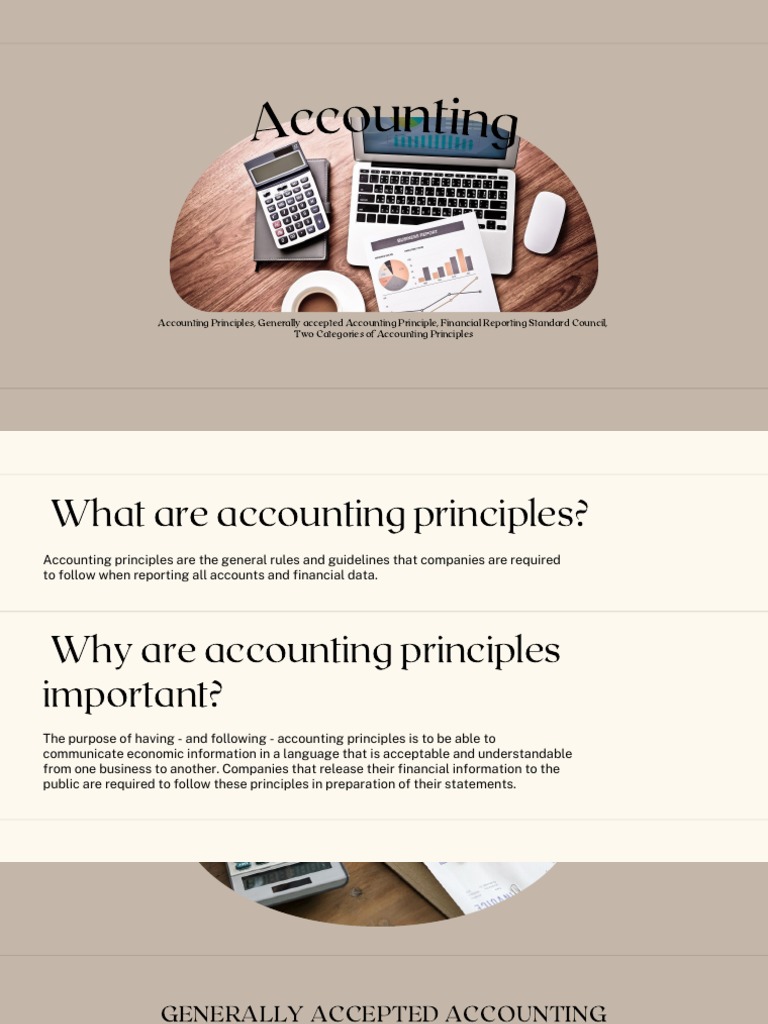 Accounting Principles and Concepts | PDF | International Financial ...
