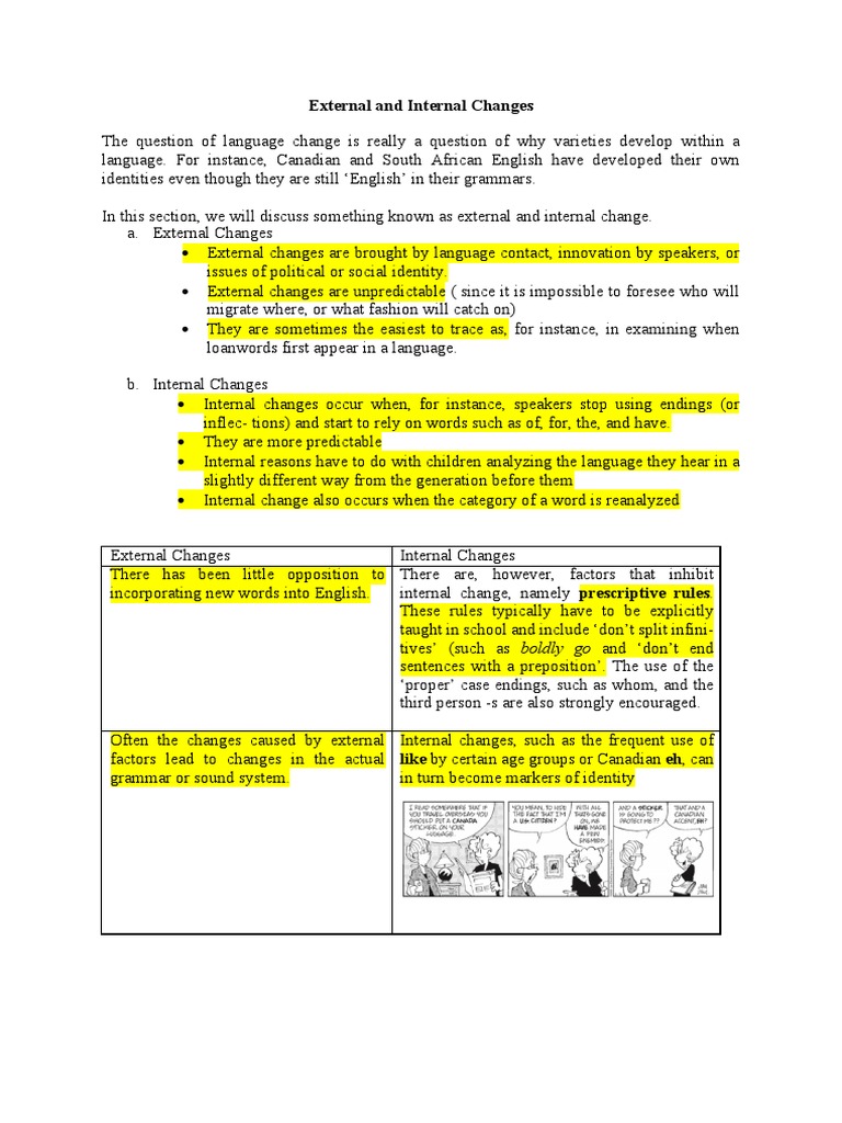 Internal and External Changes | PDF | English Language | Cognitive Science