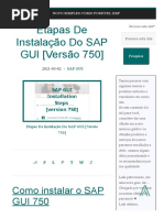 Instalação e Configuração do SAP GUI 770 | PDF