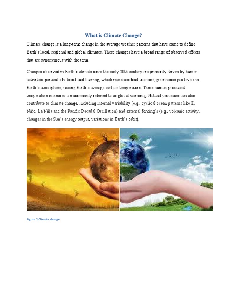 Climate Change: Causes & Effects | PDF | Climate Change | Storms