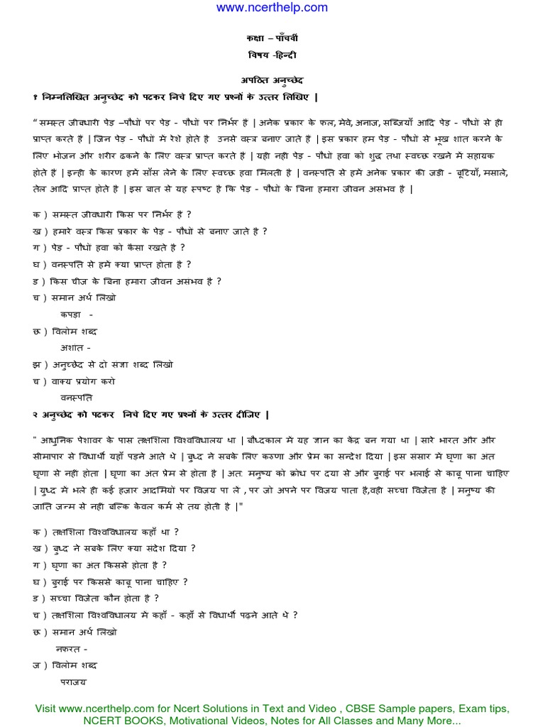 Sample Paper For Class 5 Subject Hindi | PDF