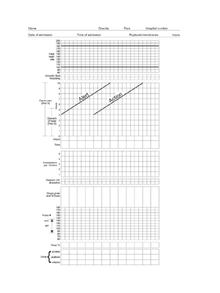 Partograph Template | PDF