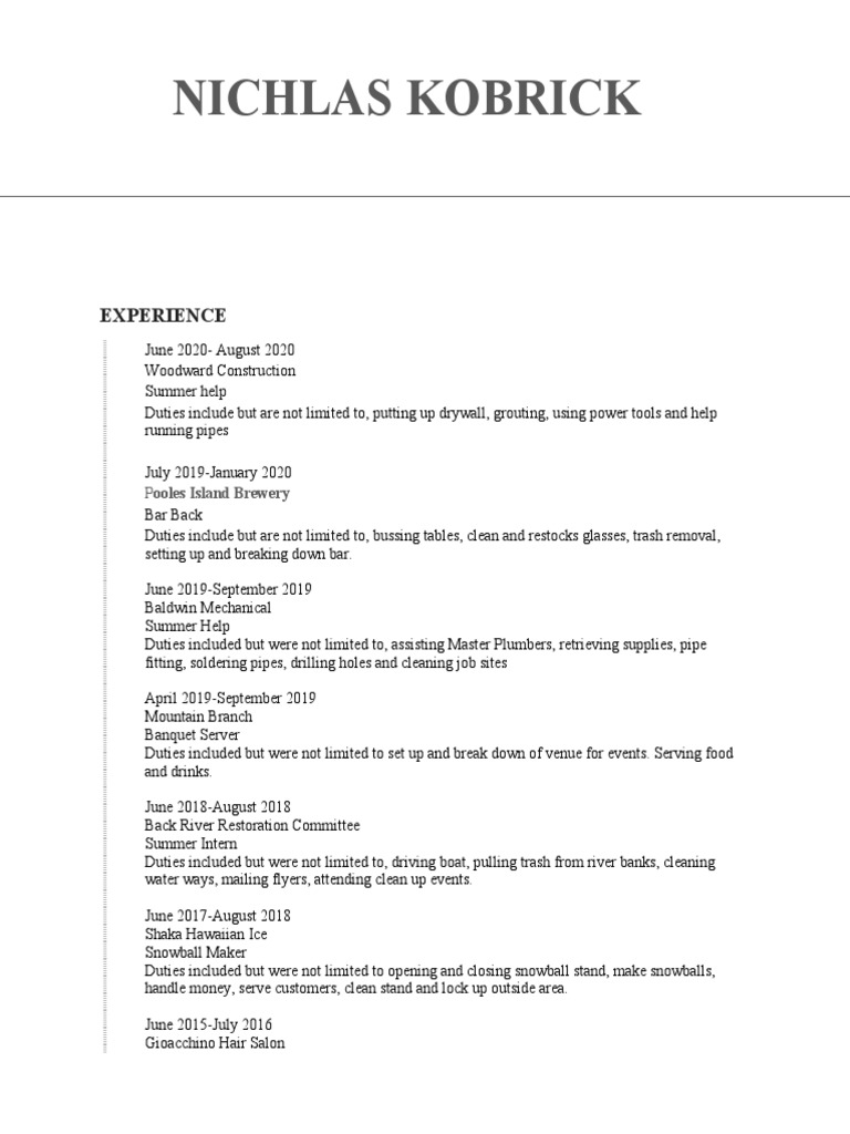 Csit Resume | PDF | Art