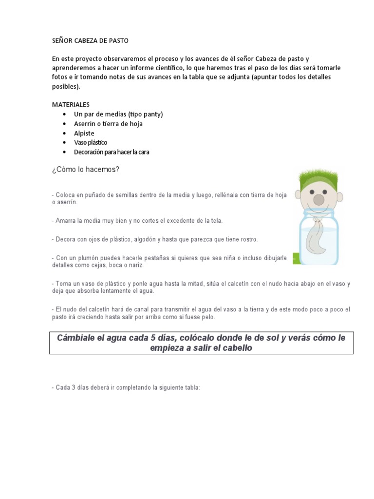 SEÑOR Cabeza de Pasto | PDF